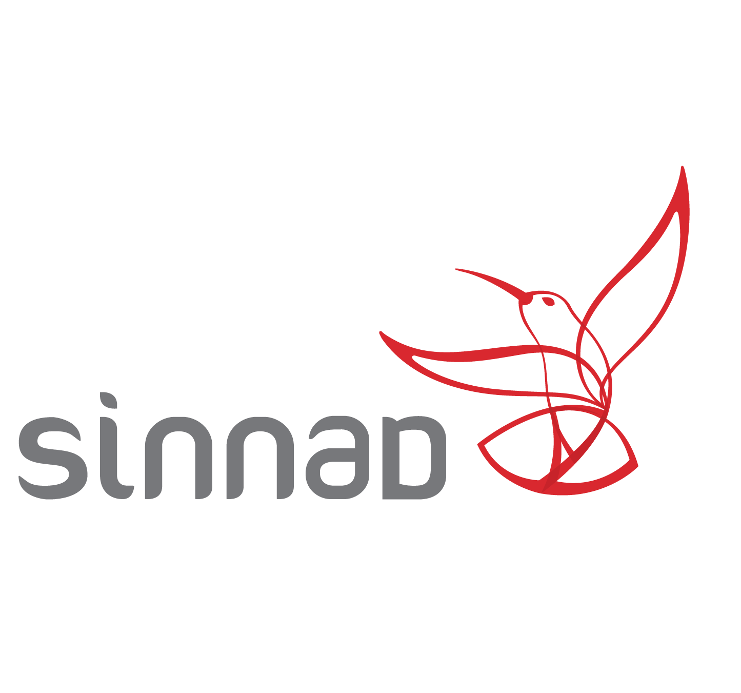 SINNAD: Achieving flexible processing in the Middle East | Compass Plus ...